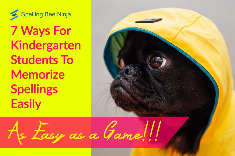 Classroom Activities Archives - Spelling Bee Ninja