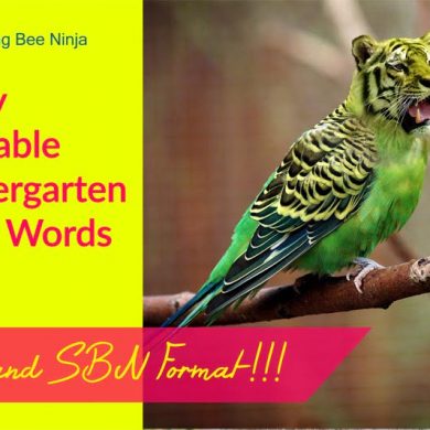 50 Kindergarten Spelling Bee Words Every Kid Should Know in 2022