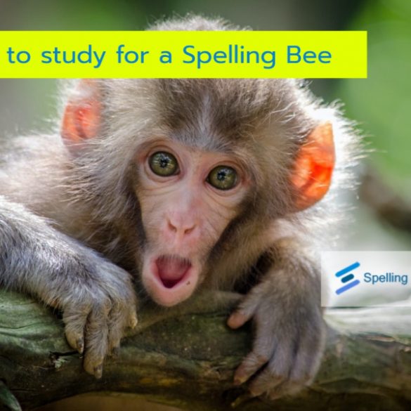 Very difficult Spelling Words List - Test your spelling skills