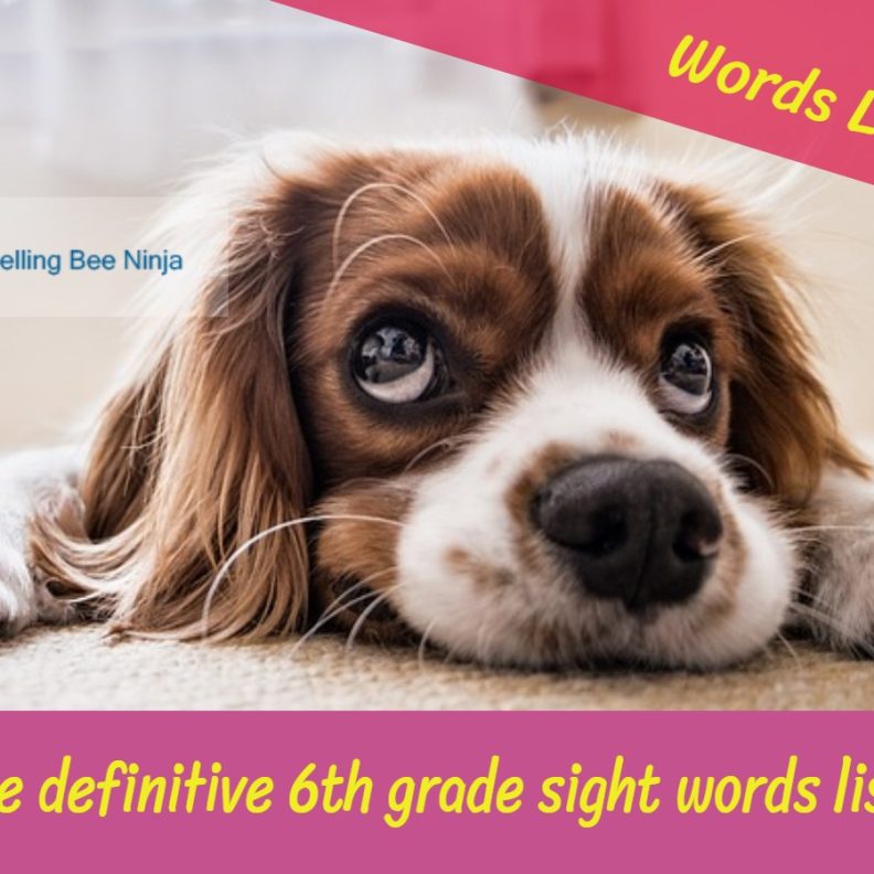 Enhance Your Vocabulary: 100+ Homophones Every Student Should Know