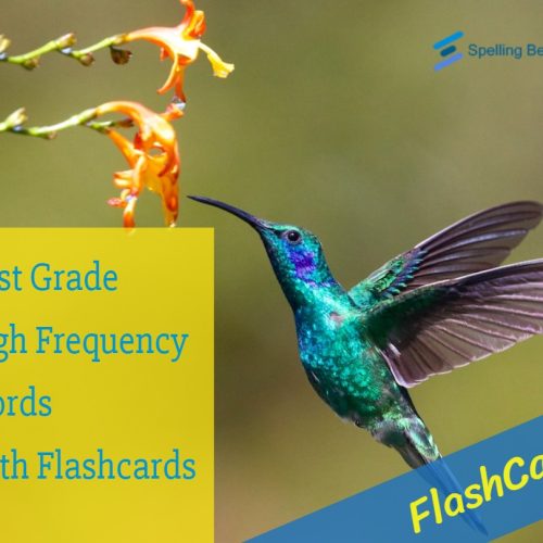 🐝 Math Vocabulary Spelling Words (Grades 3–6) - Spelling Bee Ninja