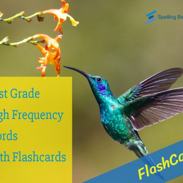 🐝International Spelling Bee Competitions: A Guide - Spelling Bee Ninja