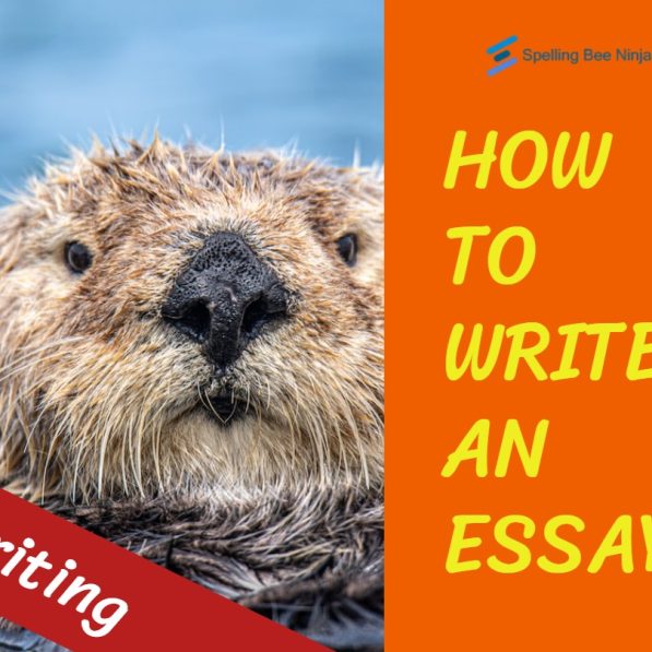 Enhance Your Vocabulary: 100+ Homophones Every Student Should Know