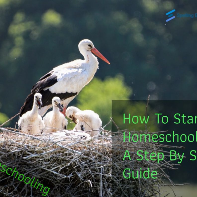 ️ Top 100 Adjectives Every ESL Learner Should Know - Spelling Bee Ninja