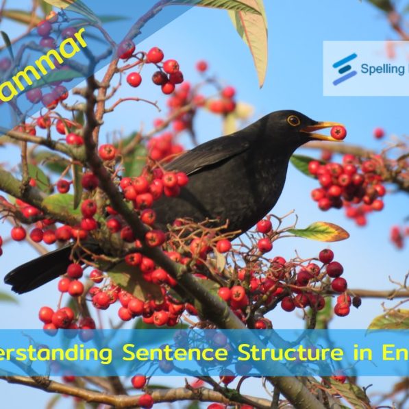 Understanding Sentence Structure in English - Spelling Bee Ninja