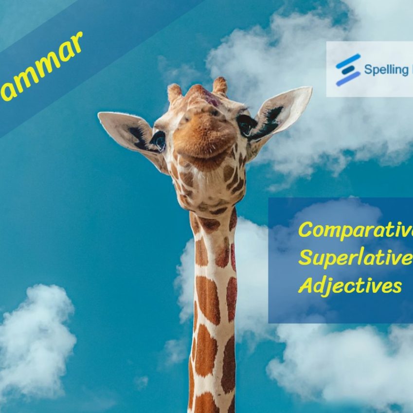 The Six Noun Types (Common, Proper, Countable, Uncountable, Collective ...