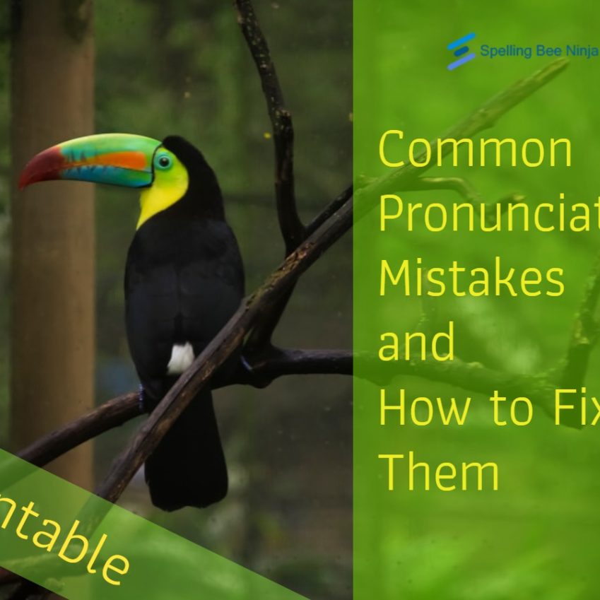 Enhance Your Vocabulary: 100+ Homophones Every Student Should Know