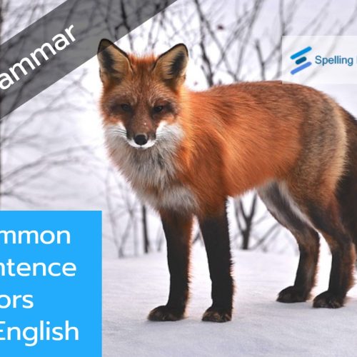 ️ Common Sentence Errors: Fragments, Run-ons, and Misplaced Modifiers ...