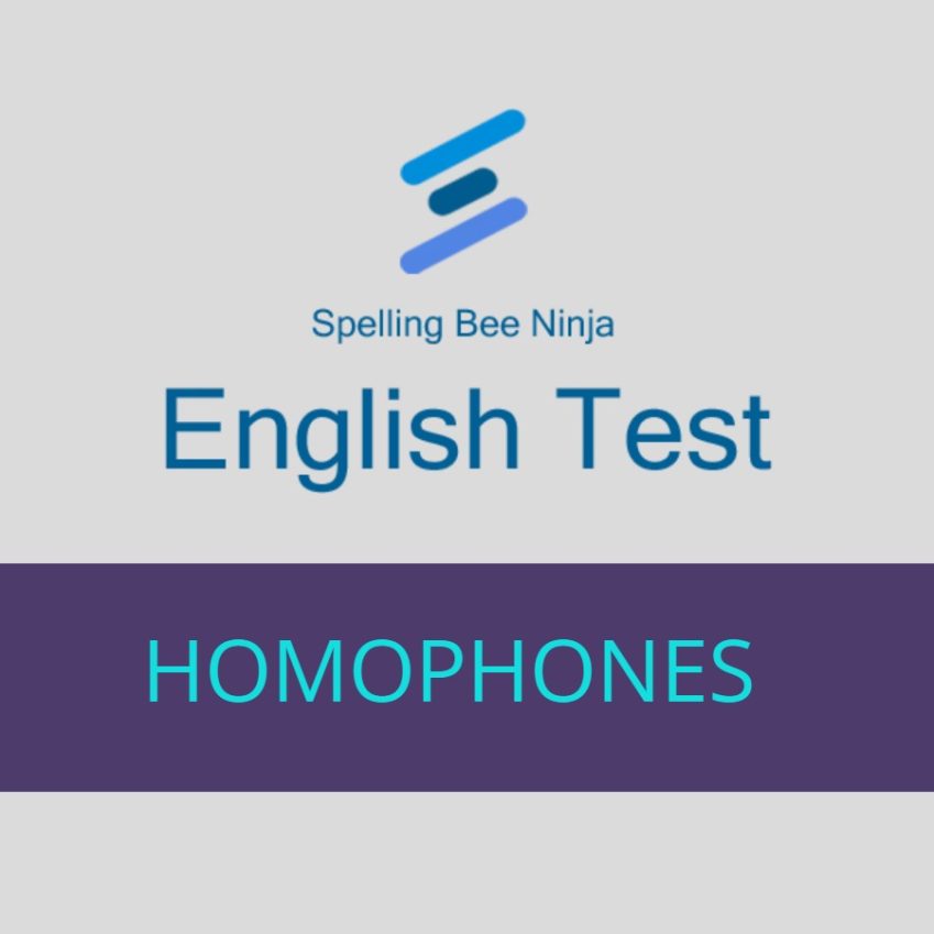 What vs Which: differences and examples - Spelling Bee Ninja