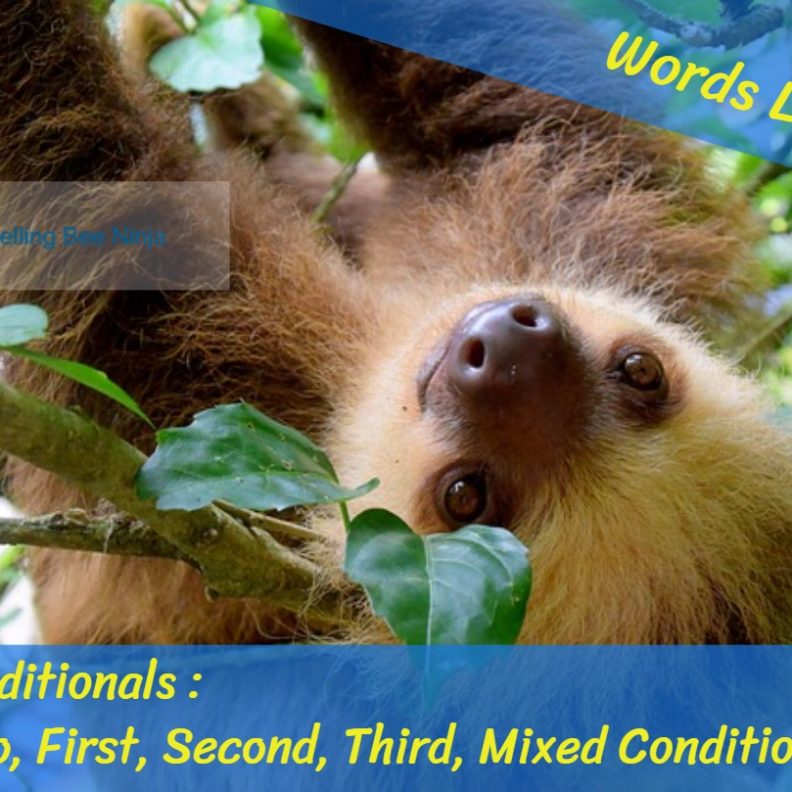 ️ Mastering Articles: “A,” “An,” and “The” Explained - Spelling Bee Ninja