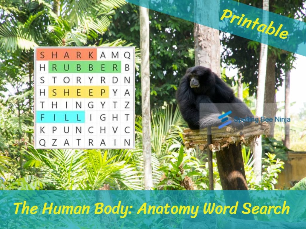 🎮El Cuerpo Humano: Sopa de Letras de Anatomía